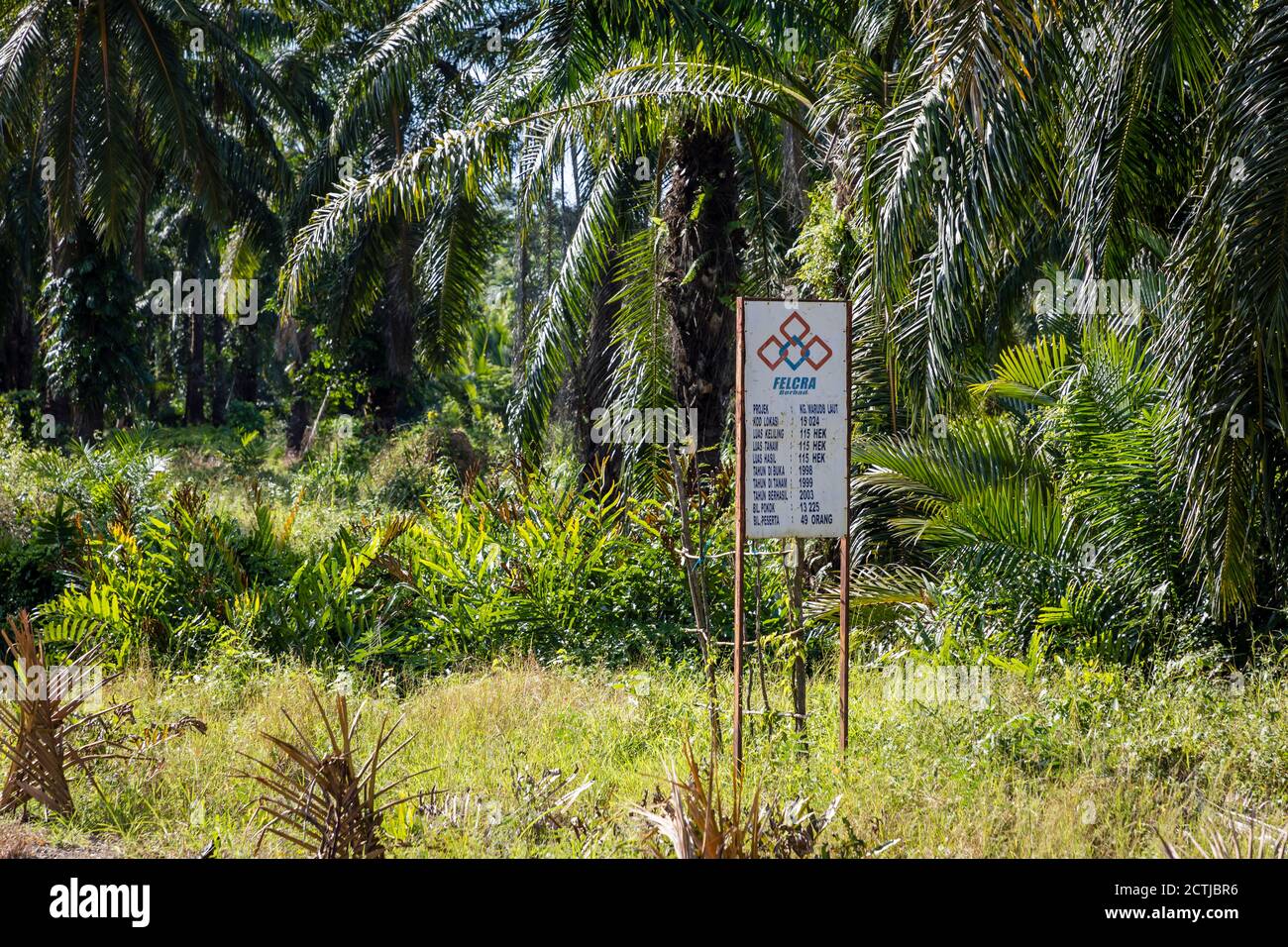 Kota Marudu, Sabah, Malaysia: Estate marker of the FELCRA Estate Kg ...