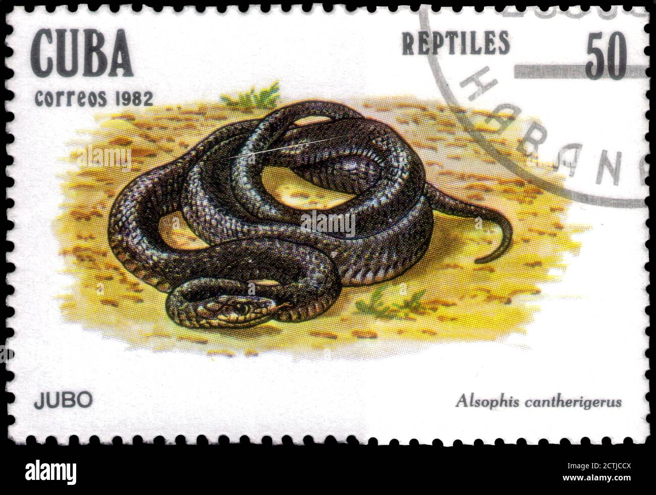 Cuban racer hi-res stock photography and images - Alamy