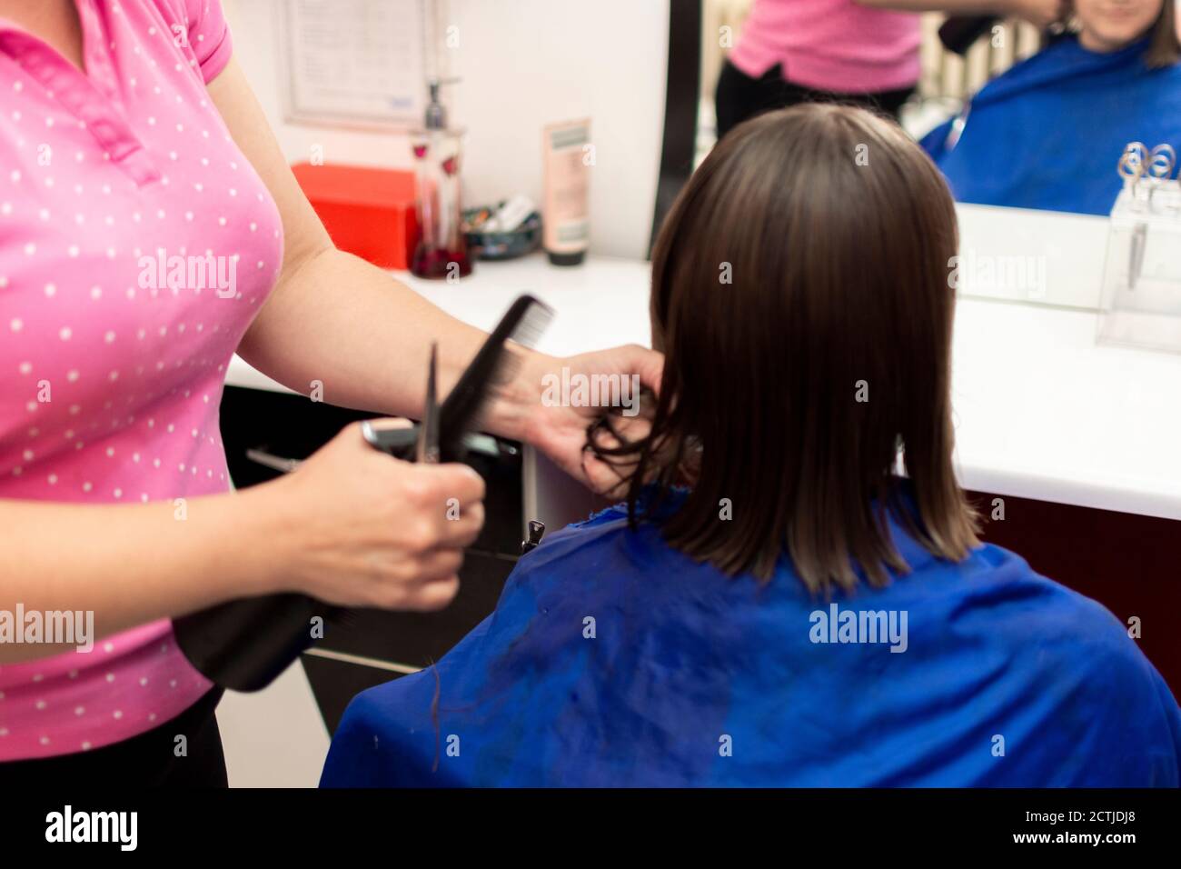 Professional female hairdresser cutting girl's hair in salon Stock ...