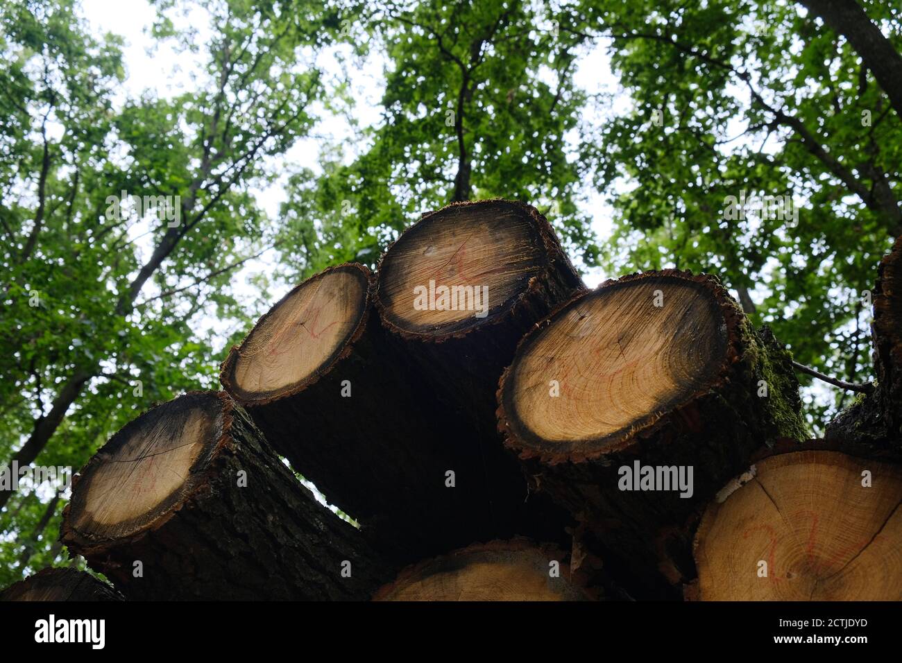 Firewood stacked together hi-res stock photography and images - Alamy