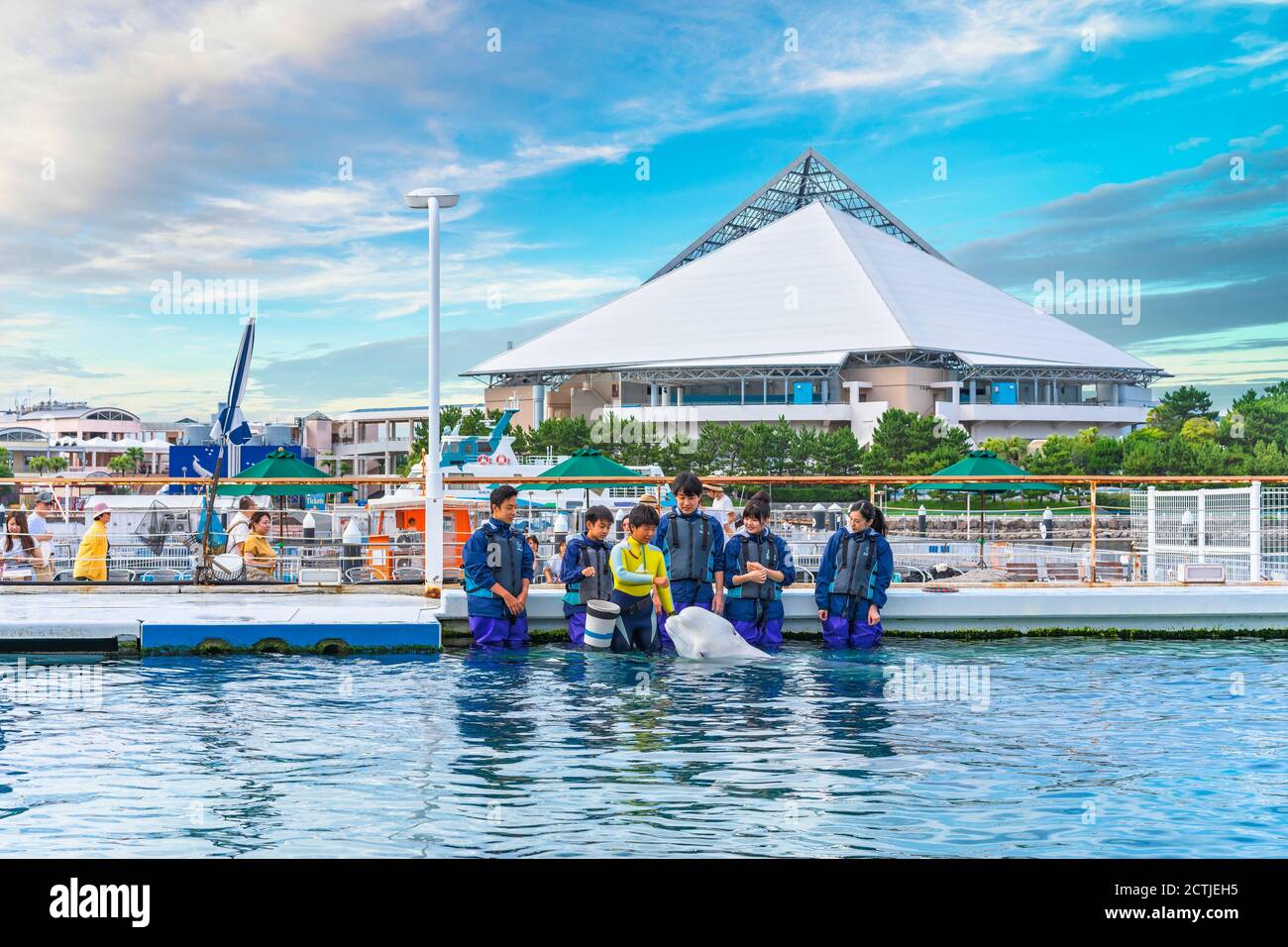 yokohama, japan - july 19 2020: Group of young people interacting with ...