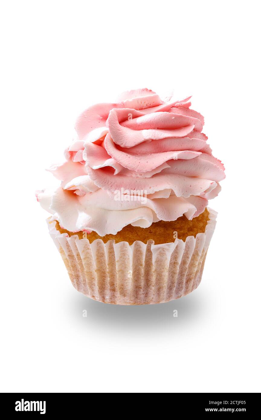 Sponge rose isolated background hi-res stock photography and images - Alamy