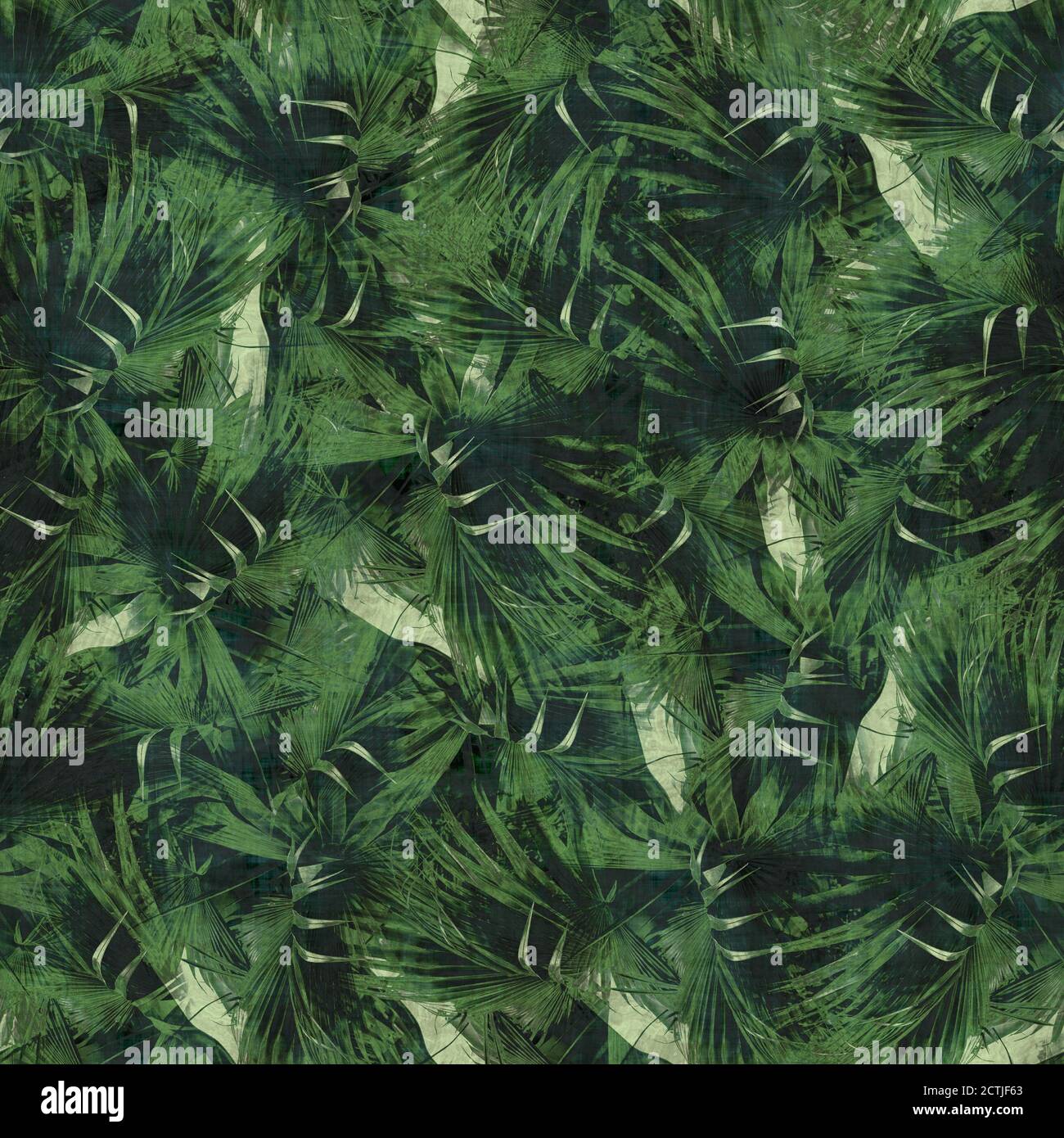 Green tropical palm tree leaves seamless pattern Stock Photo - Alamy