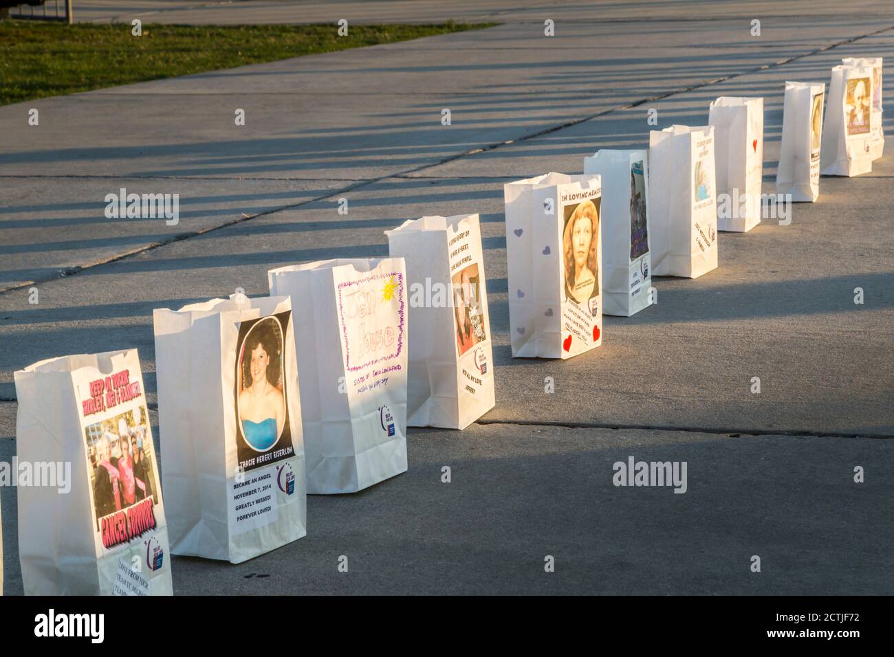Paper bag luminaries honor cancer survivors at an American Cancer ...