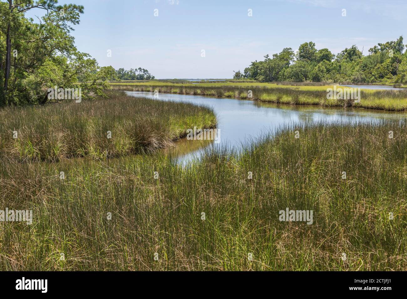 Salt Marsh wetlands at the Davis Bayou Area of the Gulf Islands ...