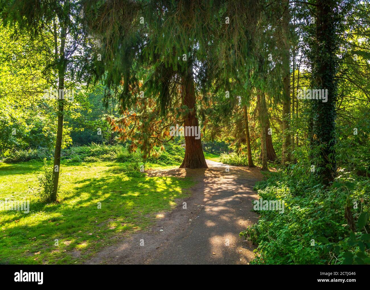 Beautiful Brueton Park in Solihull, West Midlands, England Stock Photo ...