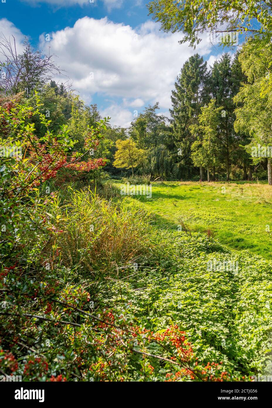 Beautiful Brueton Park in Solihull, West Midlands, England Stock Photo ...