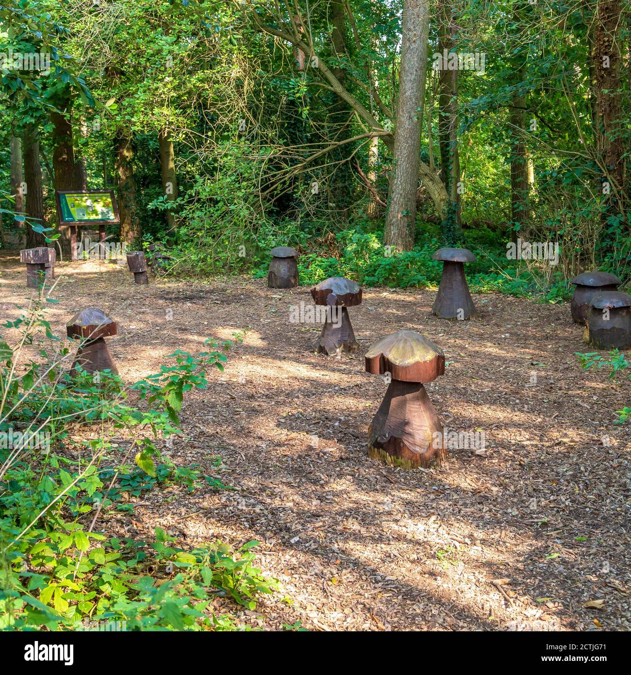 Solihull nature reserve hi-res stock photography and images - Alamy