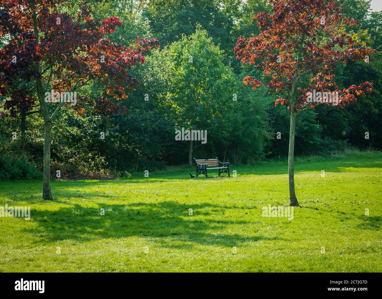 Beautiful Brueton Park in Solihull, West Midlands, England Stock Photo ...
