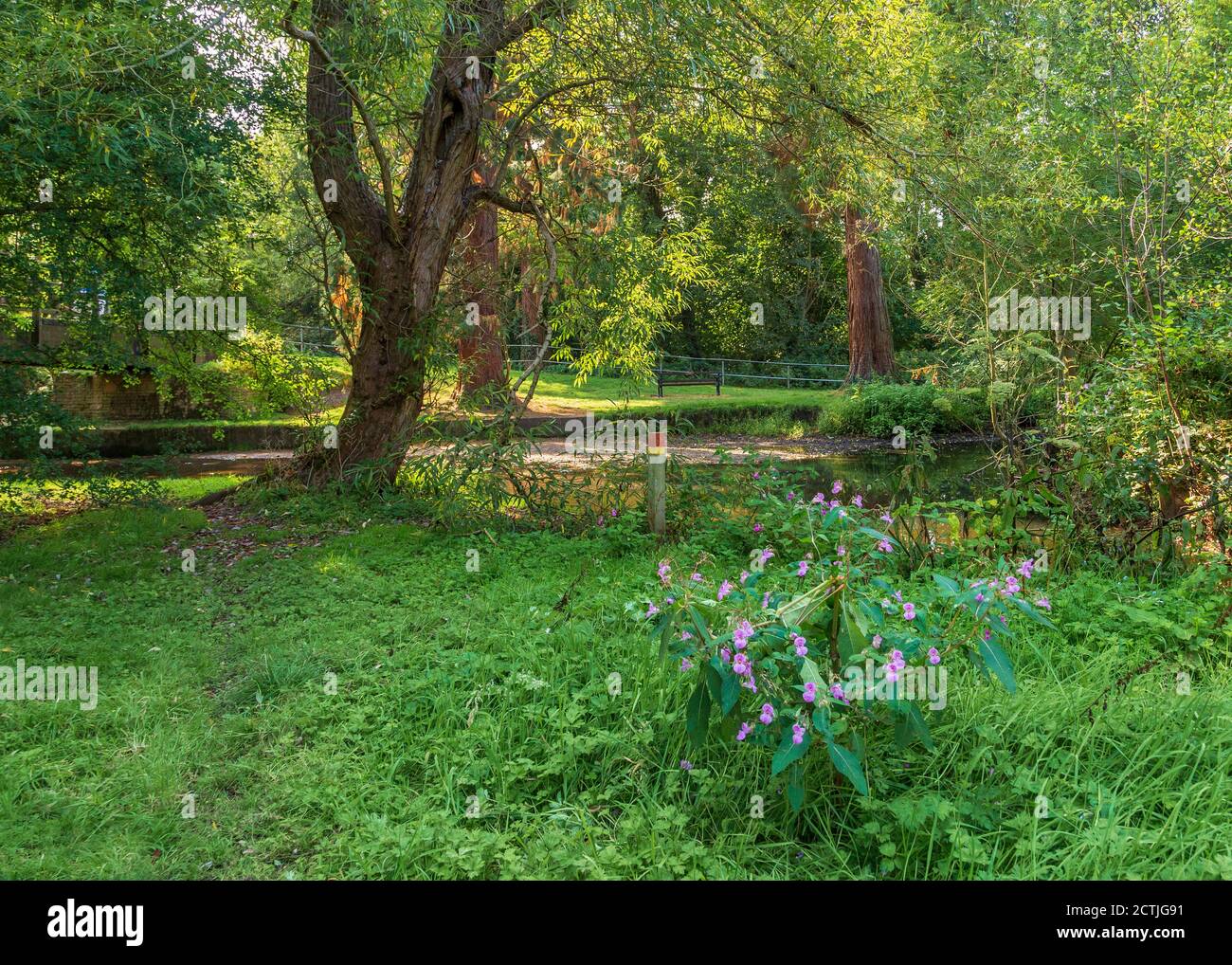 Beautiful Brueton Park in Solihull, West Midlands, England Stock Photo ...