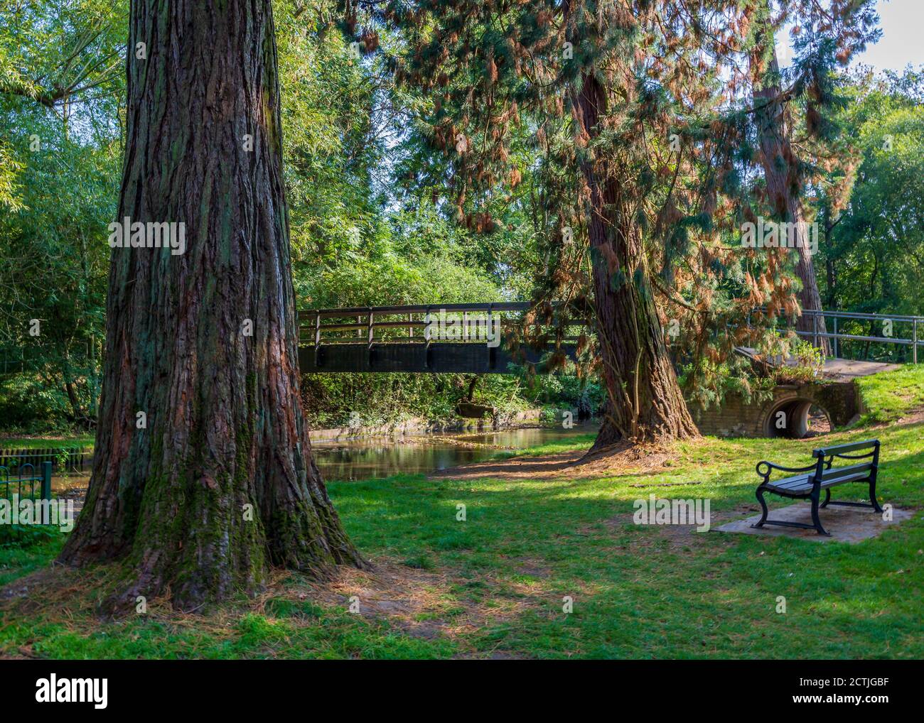 Solihull Brueton Park High Resolution Stock Photography and Images - Alamy