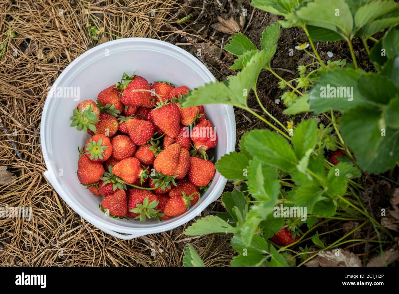 North arm farm hi-res stock photography and images - Alamy