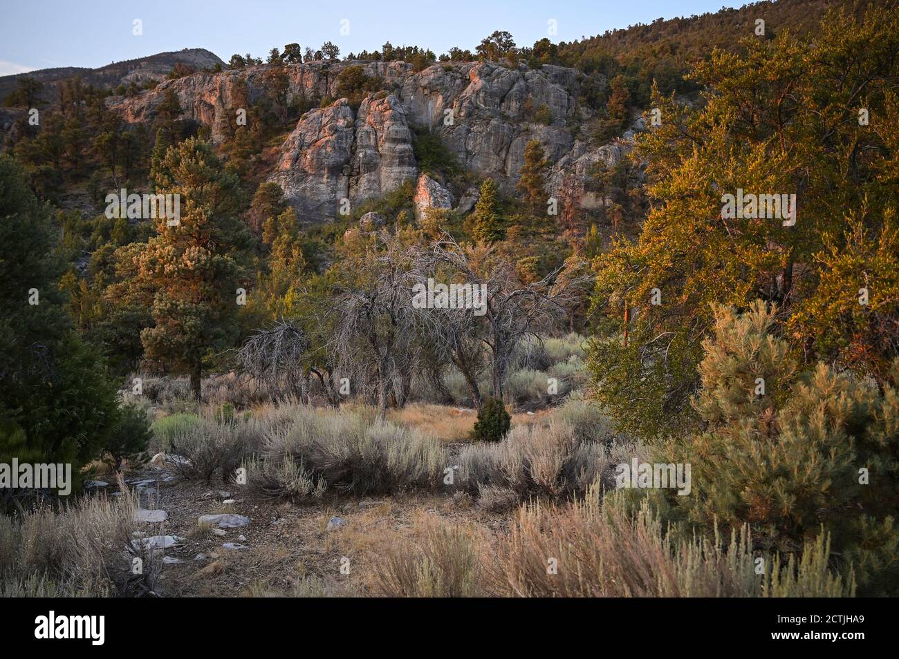 Sunlit Rock Outcropping in The Nevada Desert Stock Photo - Alamy