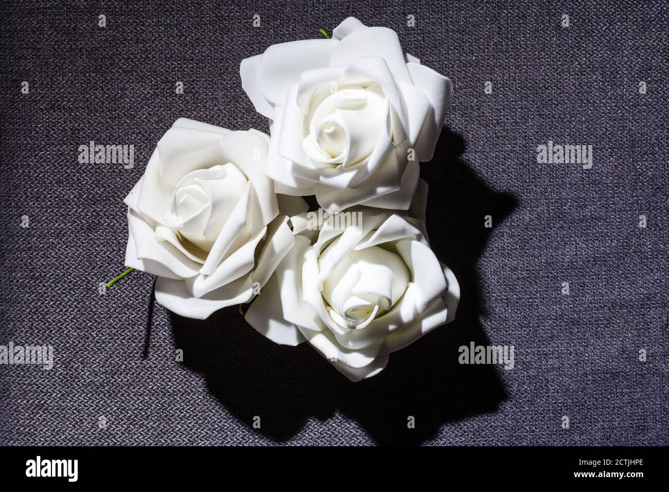 three white roses on a gray background Stock Photo - Alamy