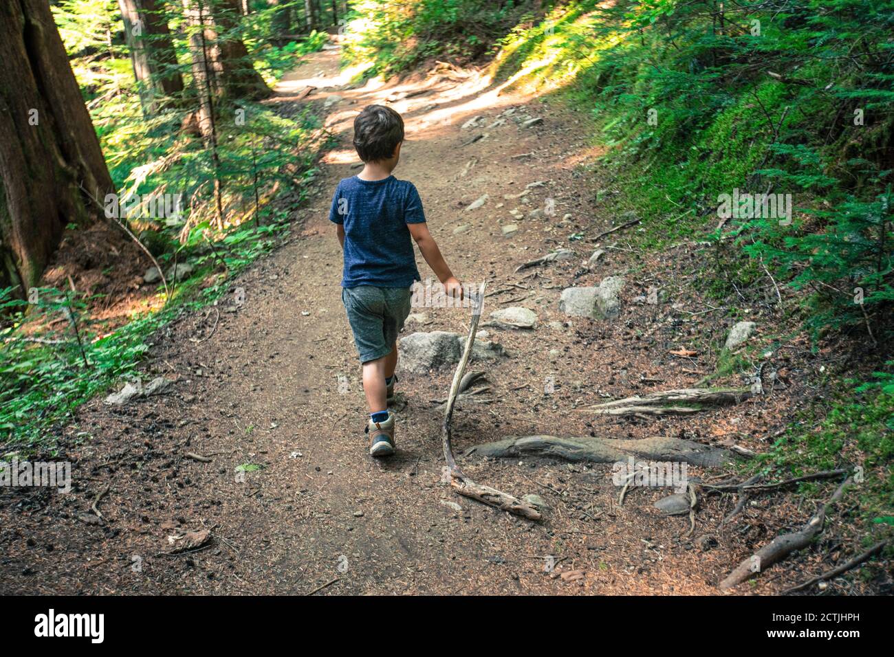 Boy walking on a nature trail with a stick Stock Photo - Alamy