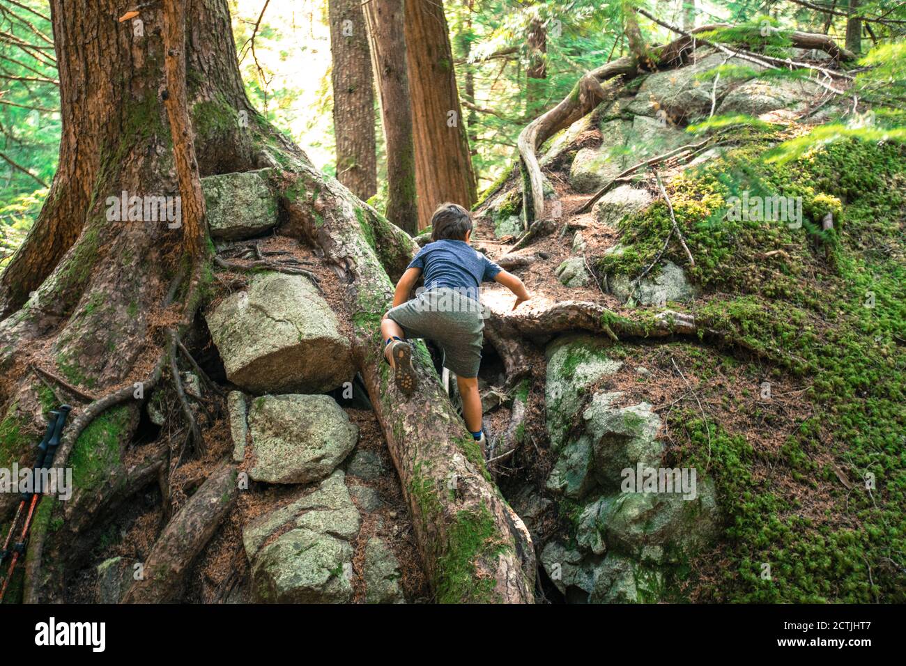 Young boy climbing up tree roots and rocks in the wilderness Stock ...