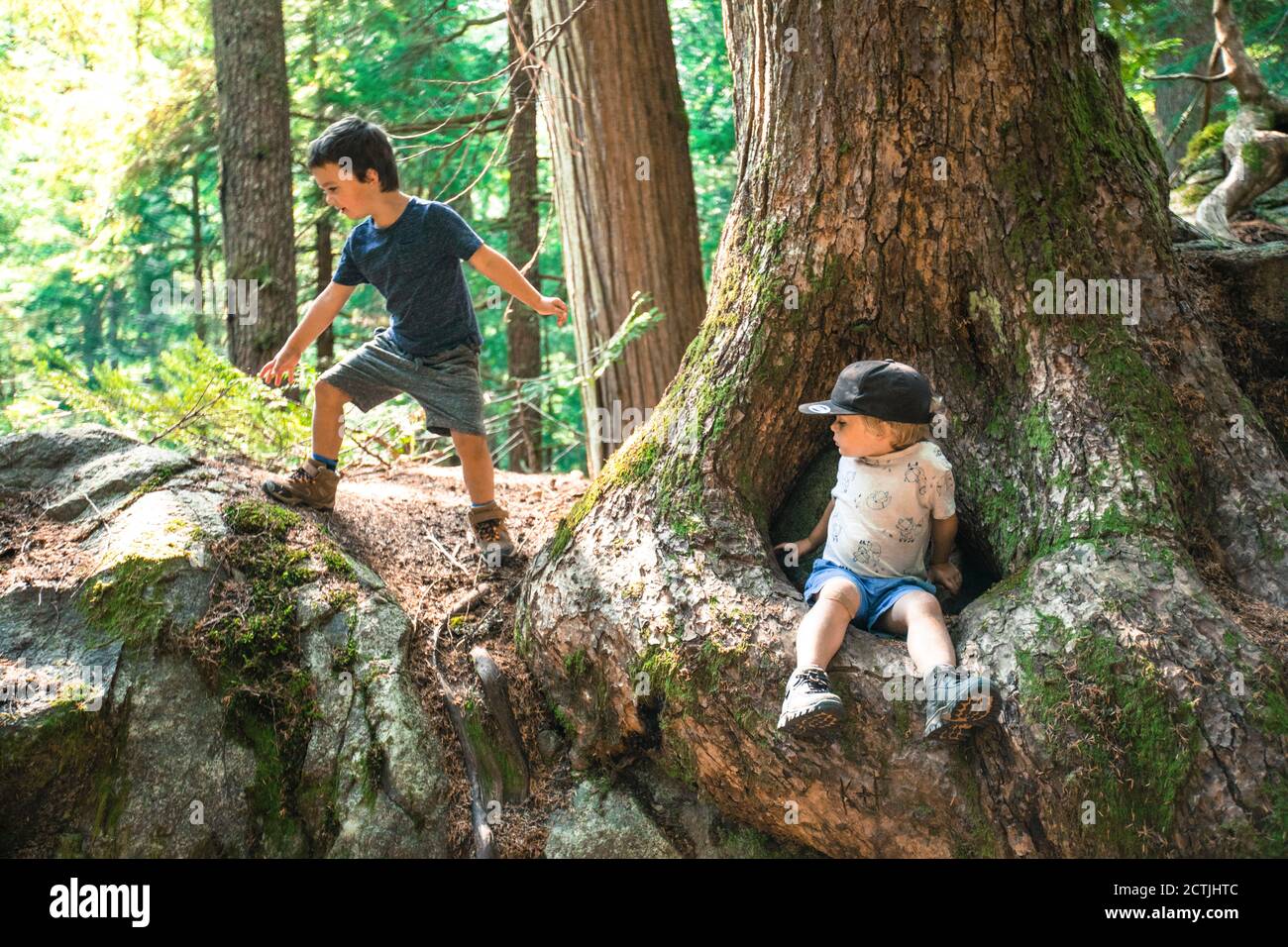 Two young boys playing in nature, lush forest setting Stock Photo - Alamy