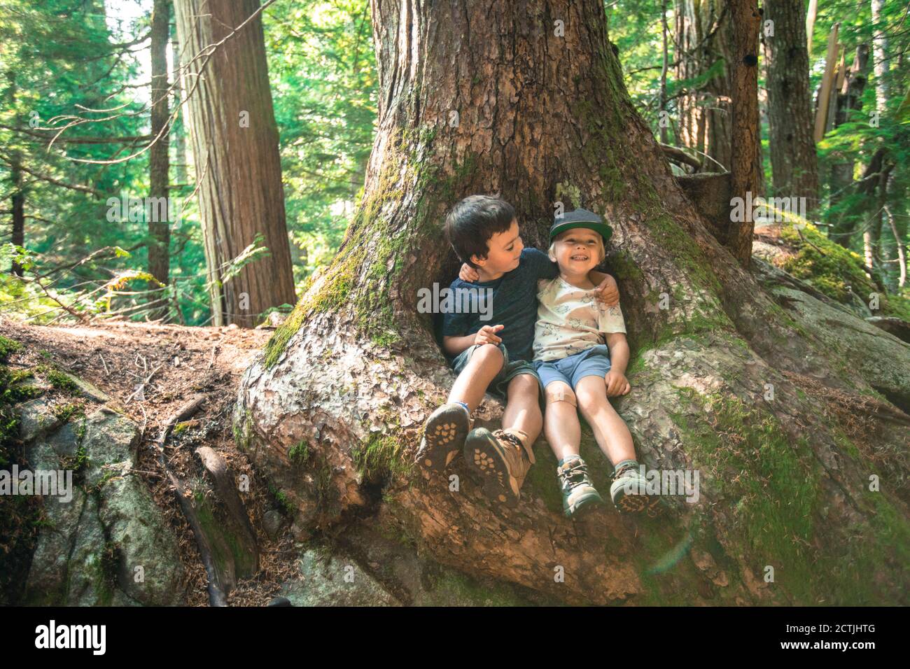Kids playing under tree hi-res stock photography and images - Alamy