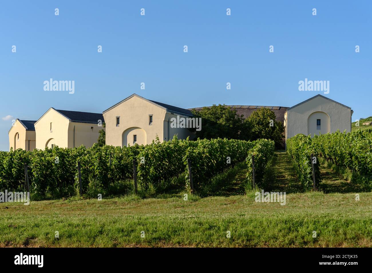 Buildings and vineyards at the Disznoko Winery in the Tokaj Wine Region ...