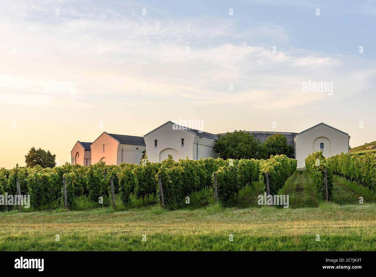 Buildings and vineyards at the Disznoko Winery in the Tokaj Wine Region ...