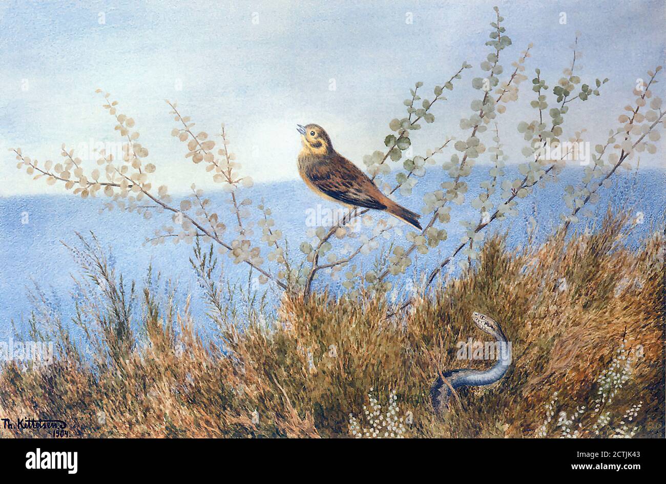 Risler hi-res stock photography and images - Alamy