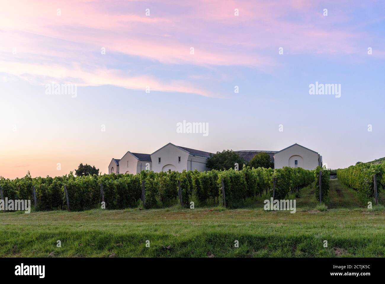 Buildings and vineyards at the Disznoko Winery in the Tokaj Wine Region ...