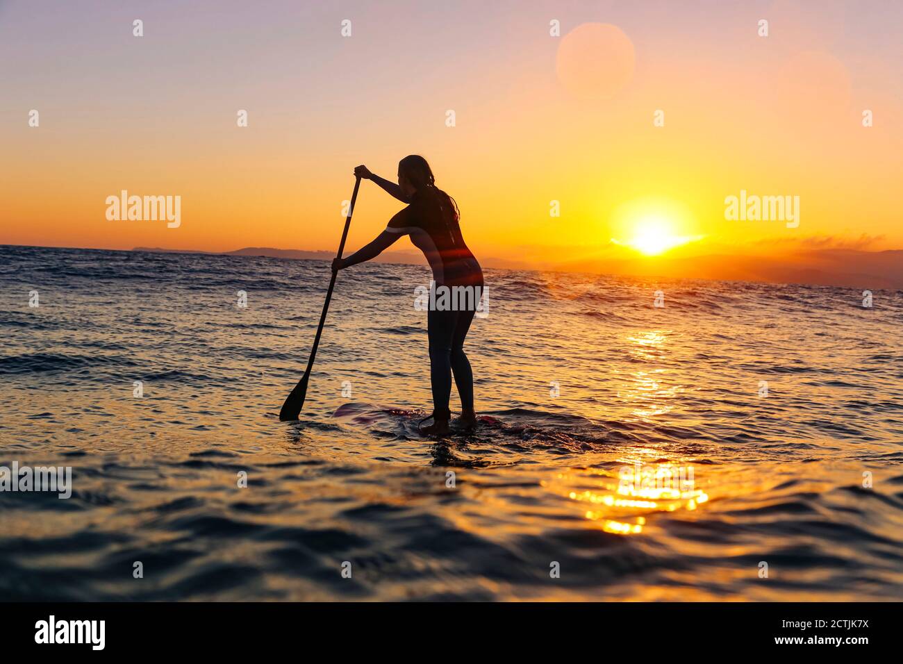 Female sup surfer at sunset time Stock Photo - Alamy