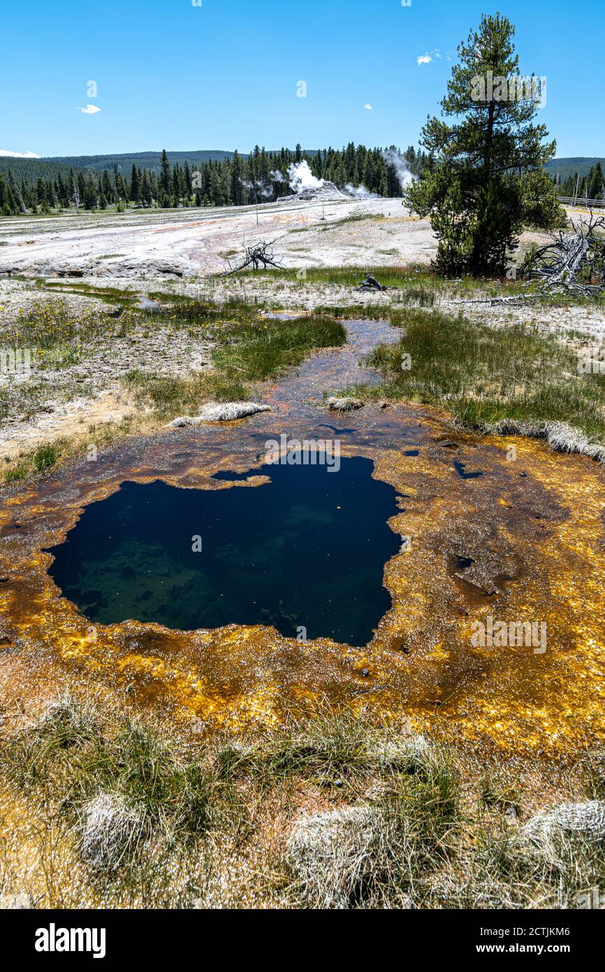 Liberty Pool, Upper Geyser Basin Area, Yellowstone National Park Stock ...
