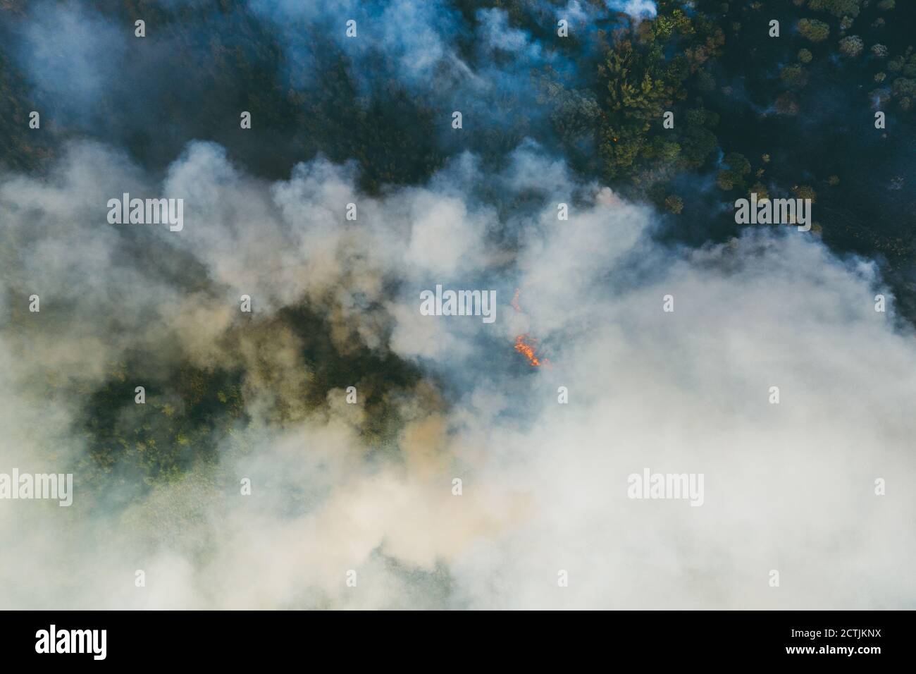 Forest Fire or Wildfire, Aerial View. Burning Wood Land with many Smoke ...