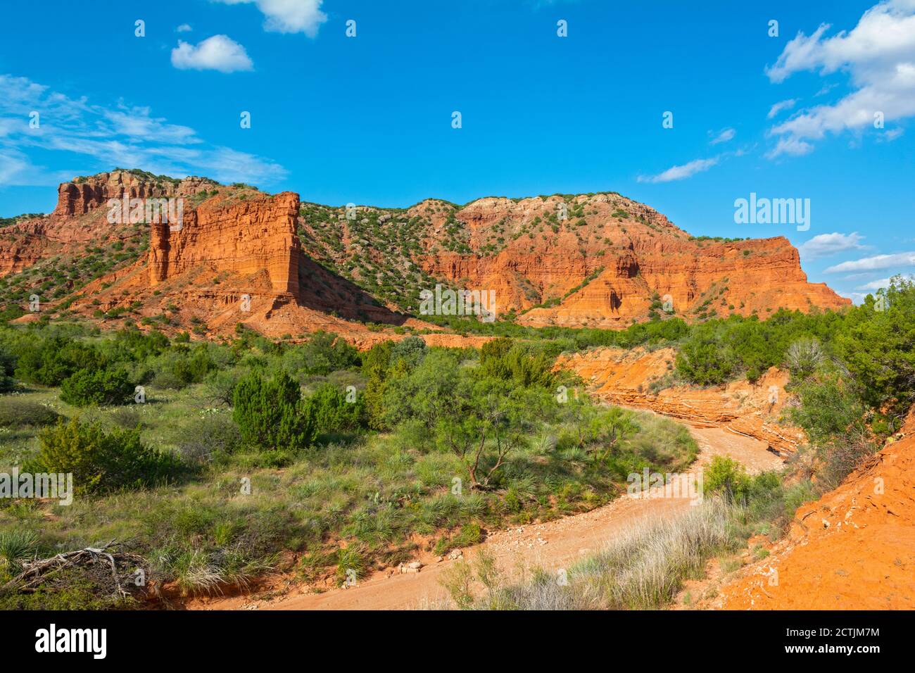Texas and caprock and bison hi-res stock photography and images - Alamy