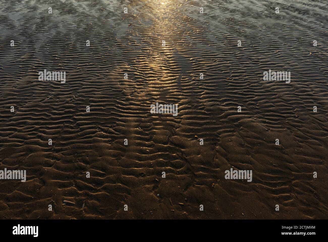 Beautiful sunset on the sand beach coast in Denmark. Sunny nature ...