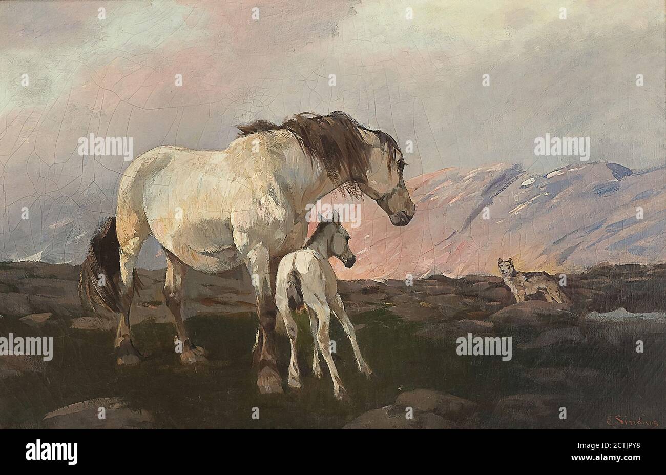 Sinding Elisabeth - Mare with Foal and a Wolf in the Mountains ...