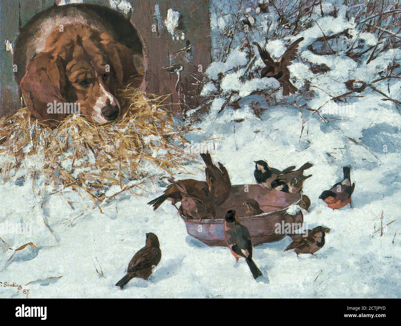 Sinding Elisabeth - Wintergäste - Norwegian School - 19th Century Stock ...