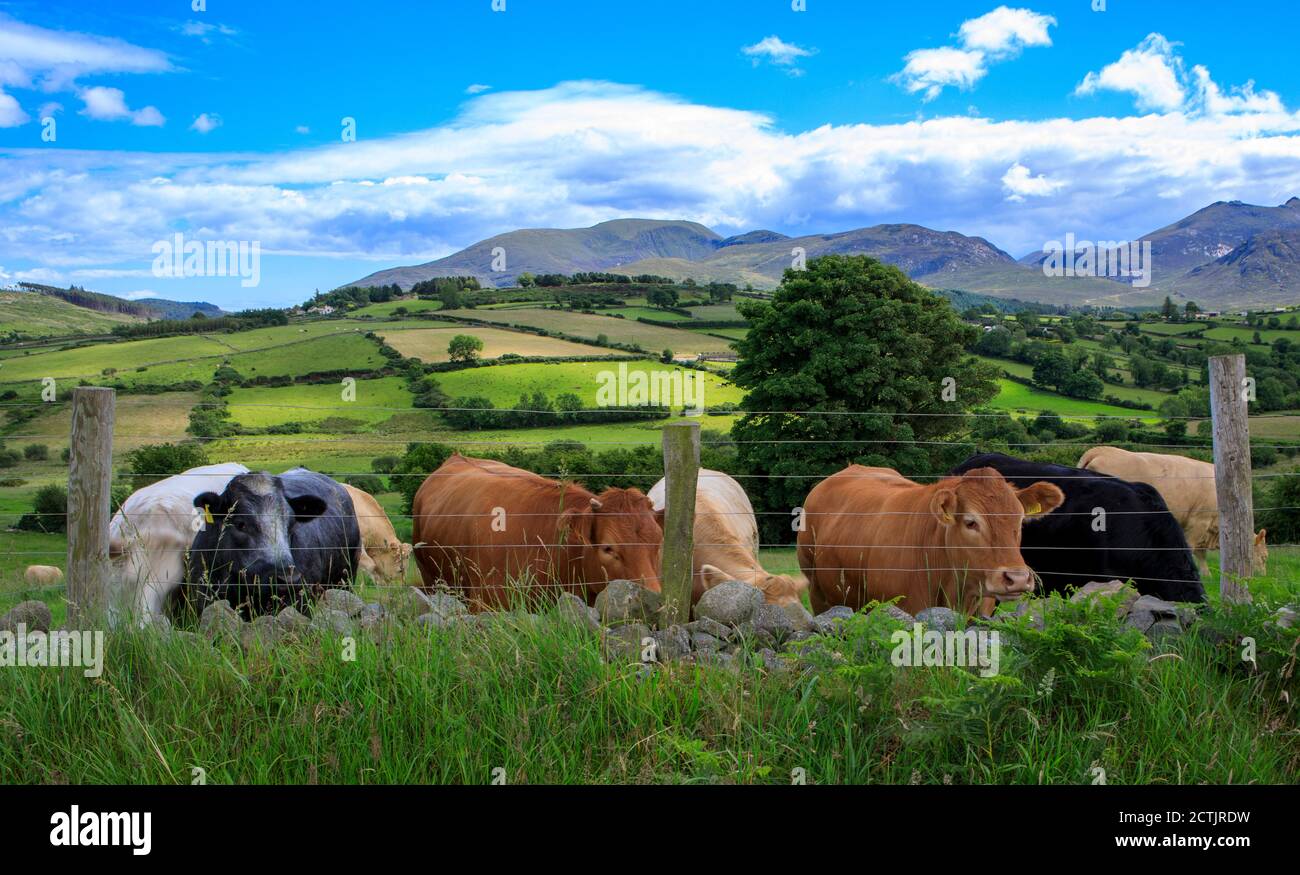 Mourne mountains ireland hi-res stock photography and images - Alamy