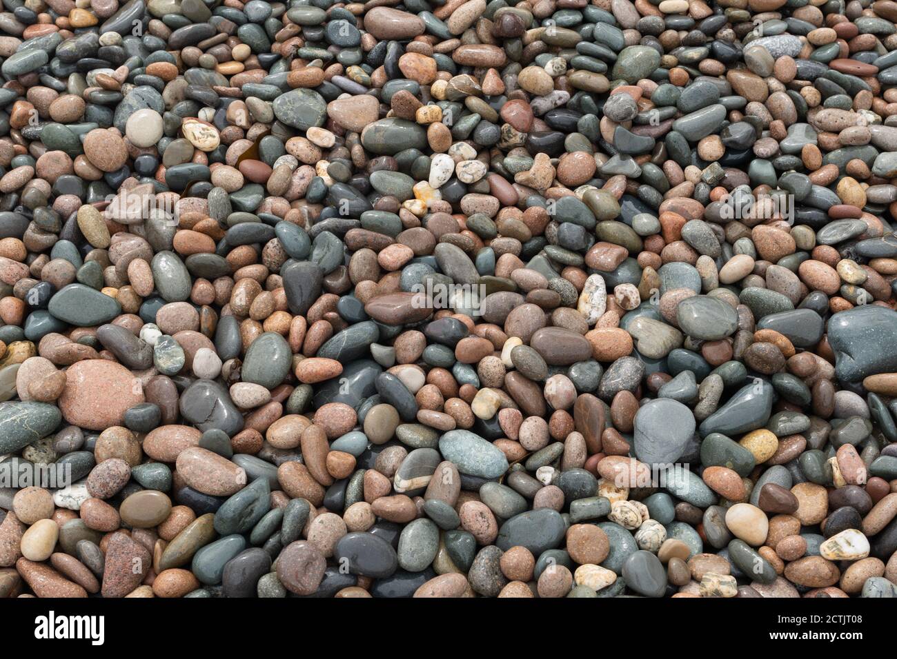 Pebbles on St Bees beach, Cumbria, England, UK Stock Photo - Alamy