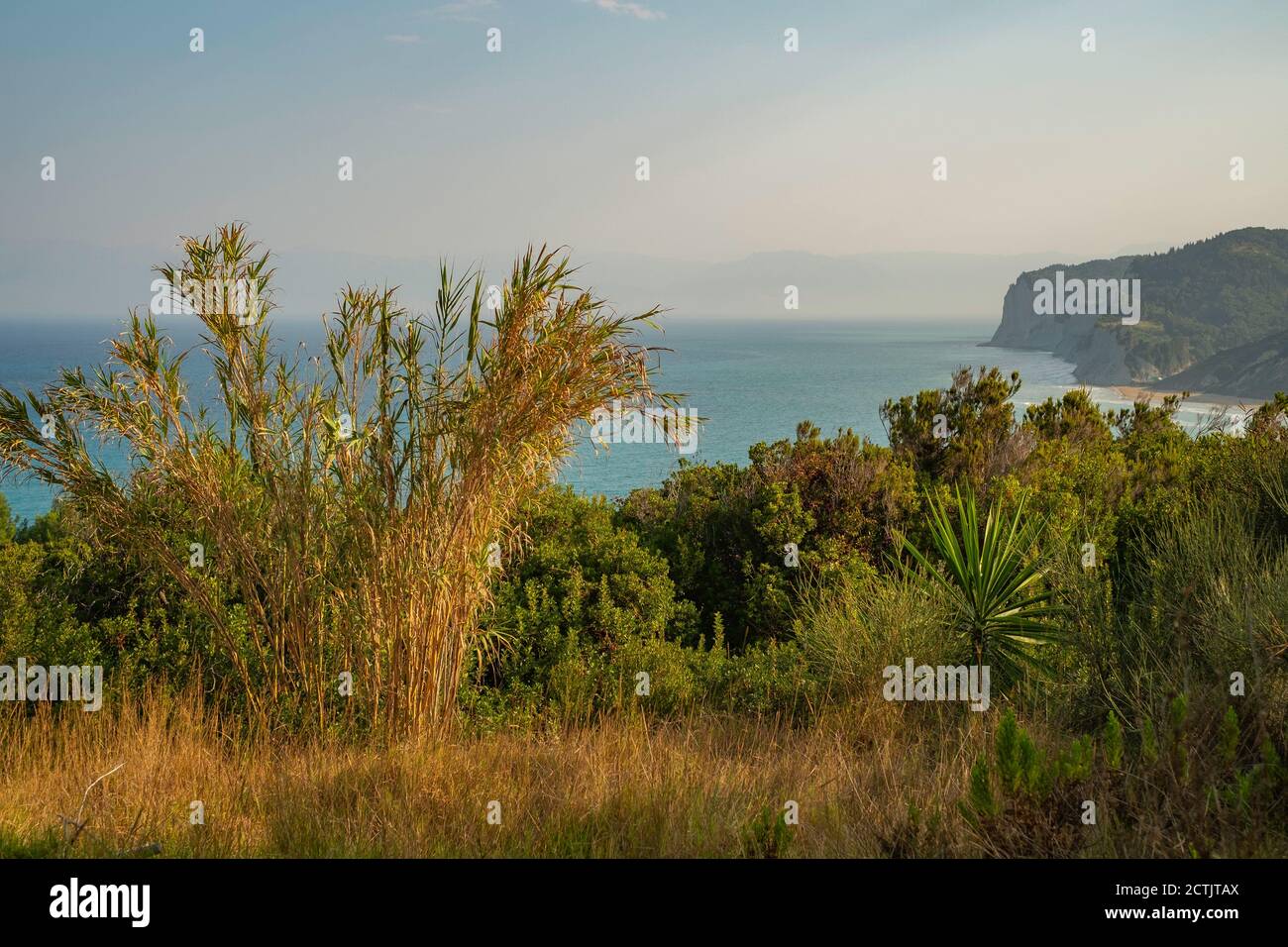 Rothwell country park Leeds Yorkshire England Stock Photo - Alamy