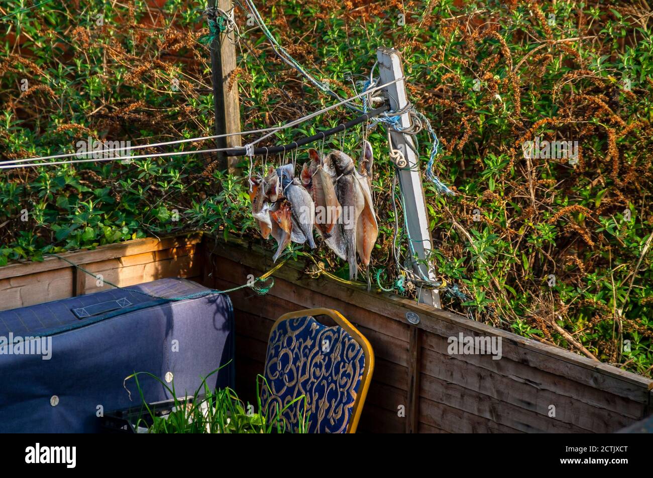 Air Curing High Resolution Stock Photography and Images - Alamy