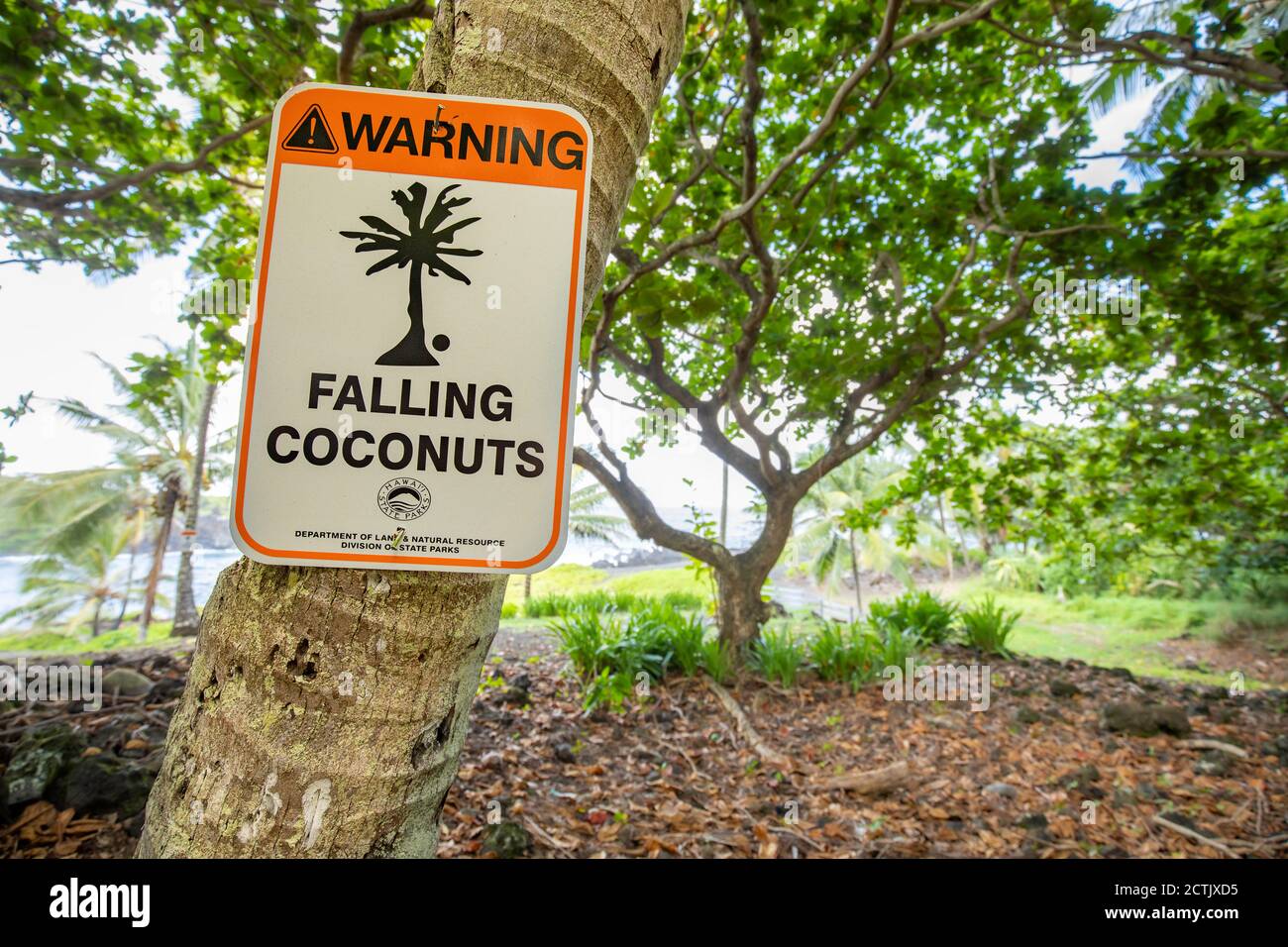 A falling coconut warning sign at Waianapanapa State Park, Hana, Maui ...