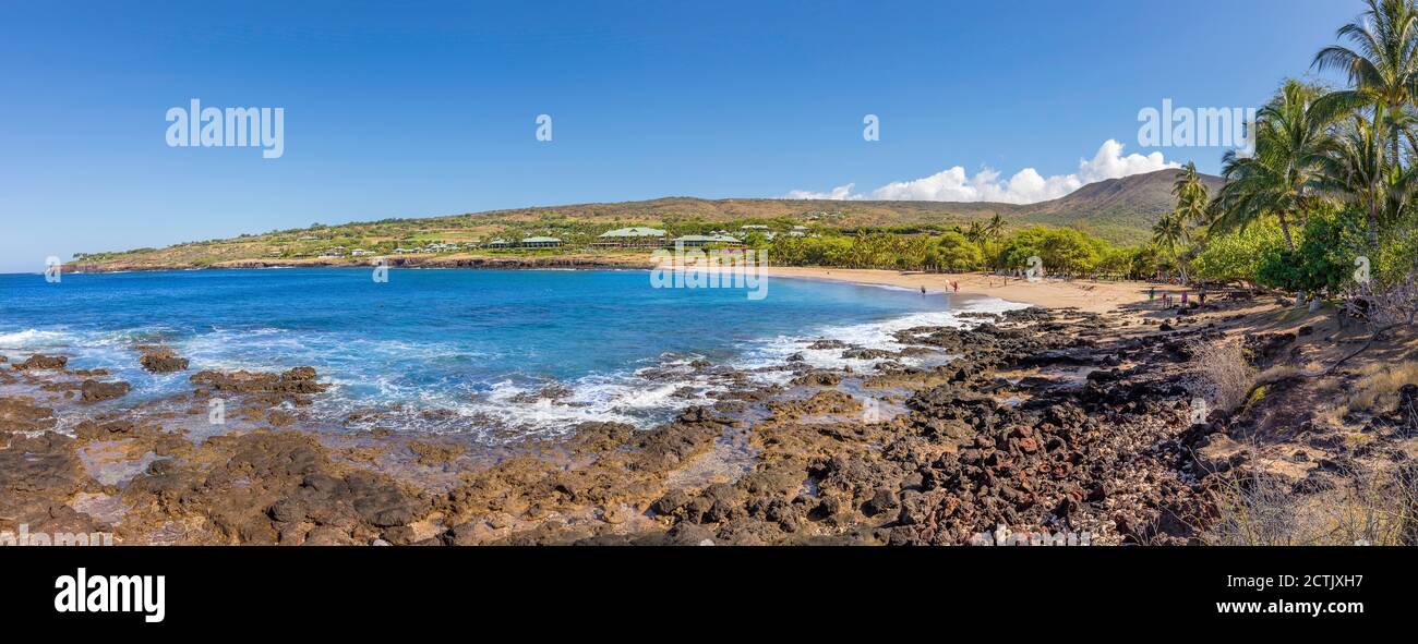 An panarama view of the golden beach and palm tree's at Hulopo'e Beach ...