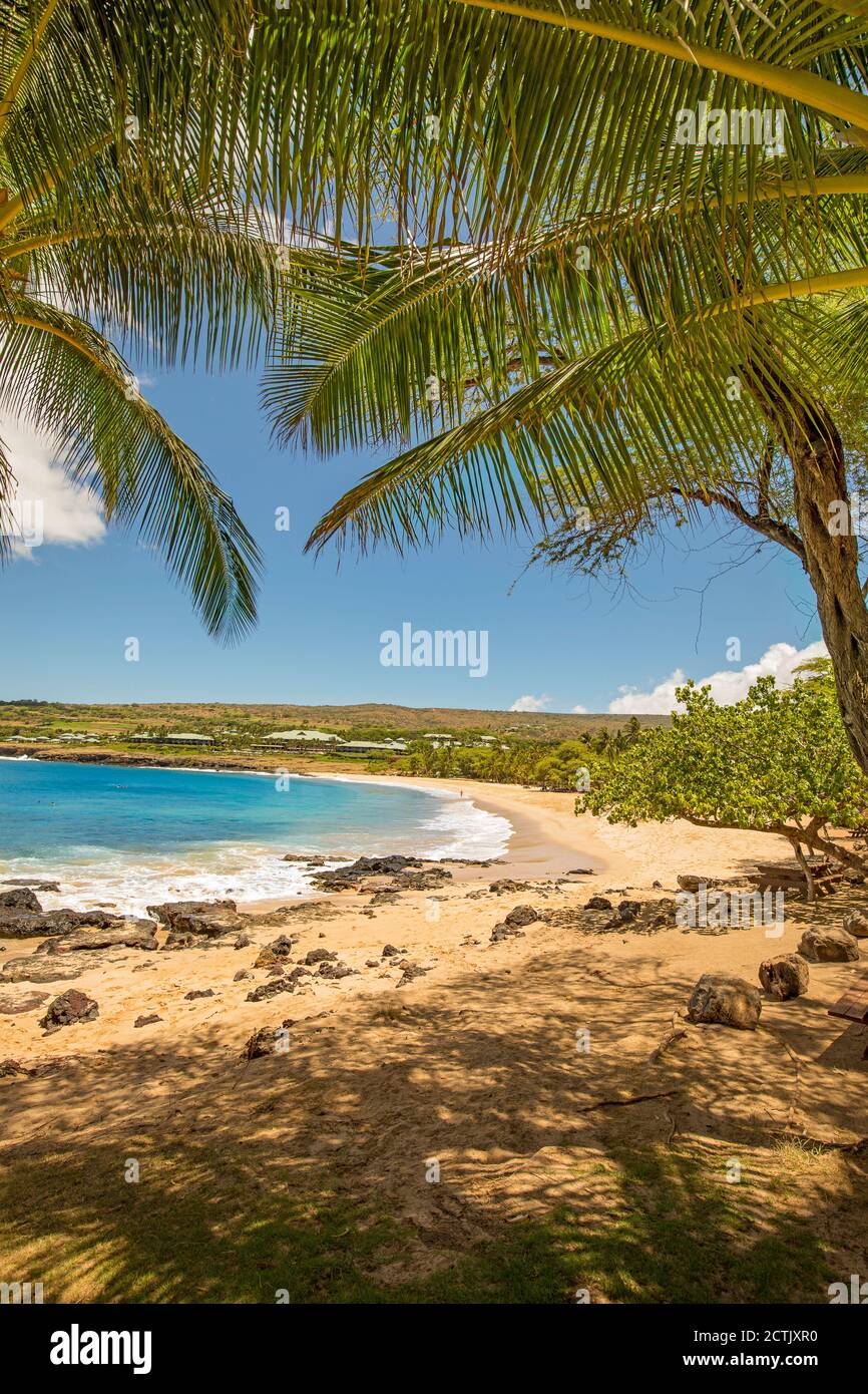 A view of the golden beach and palm tree's at Hulopo'e Beach Park, and ...