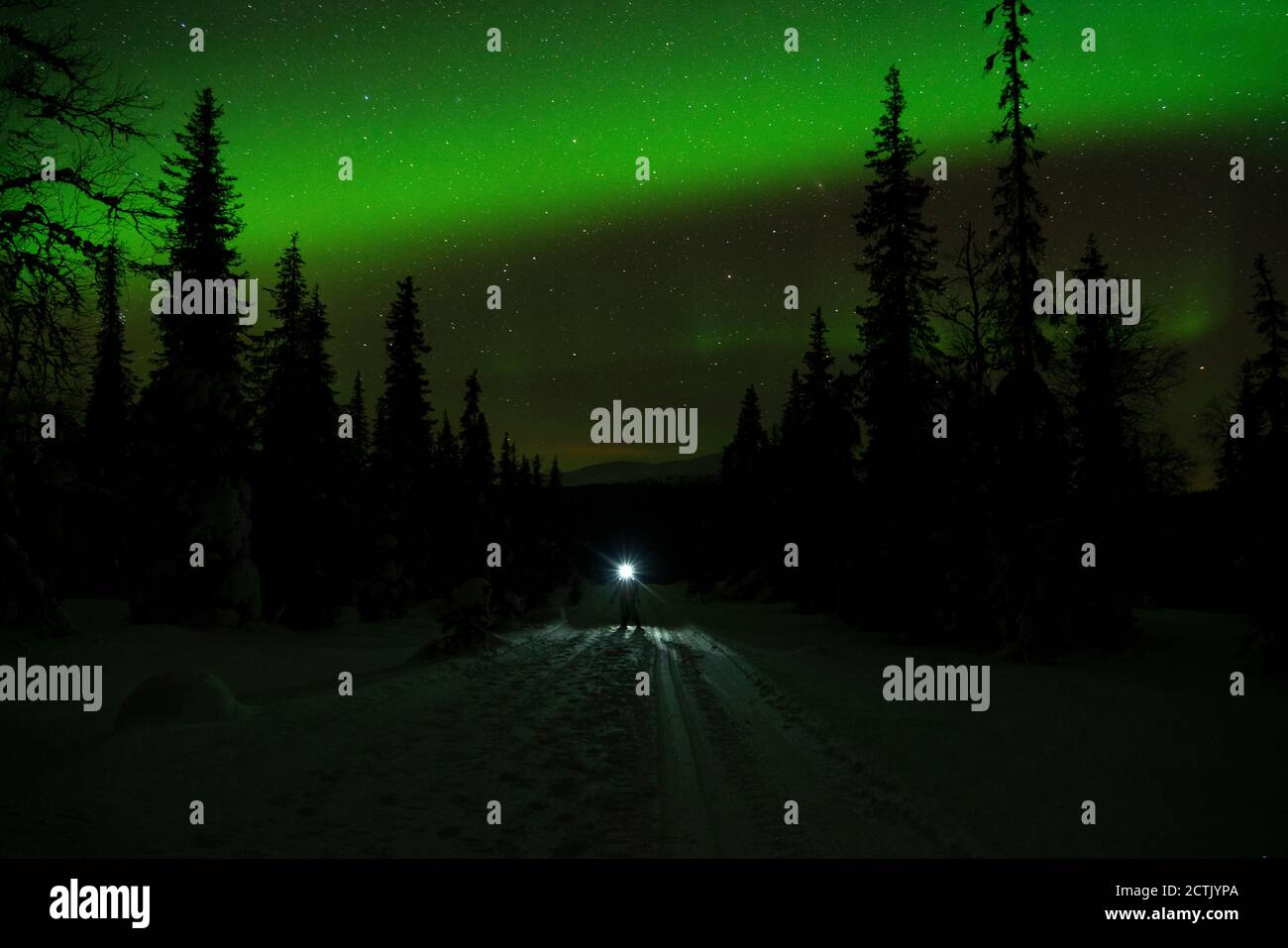 Dark forest road night hi-res stock photography and images - Alamy