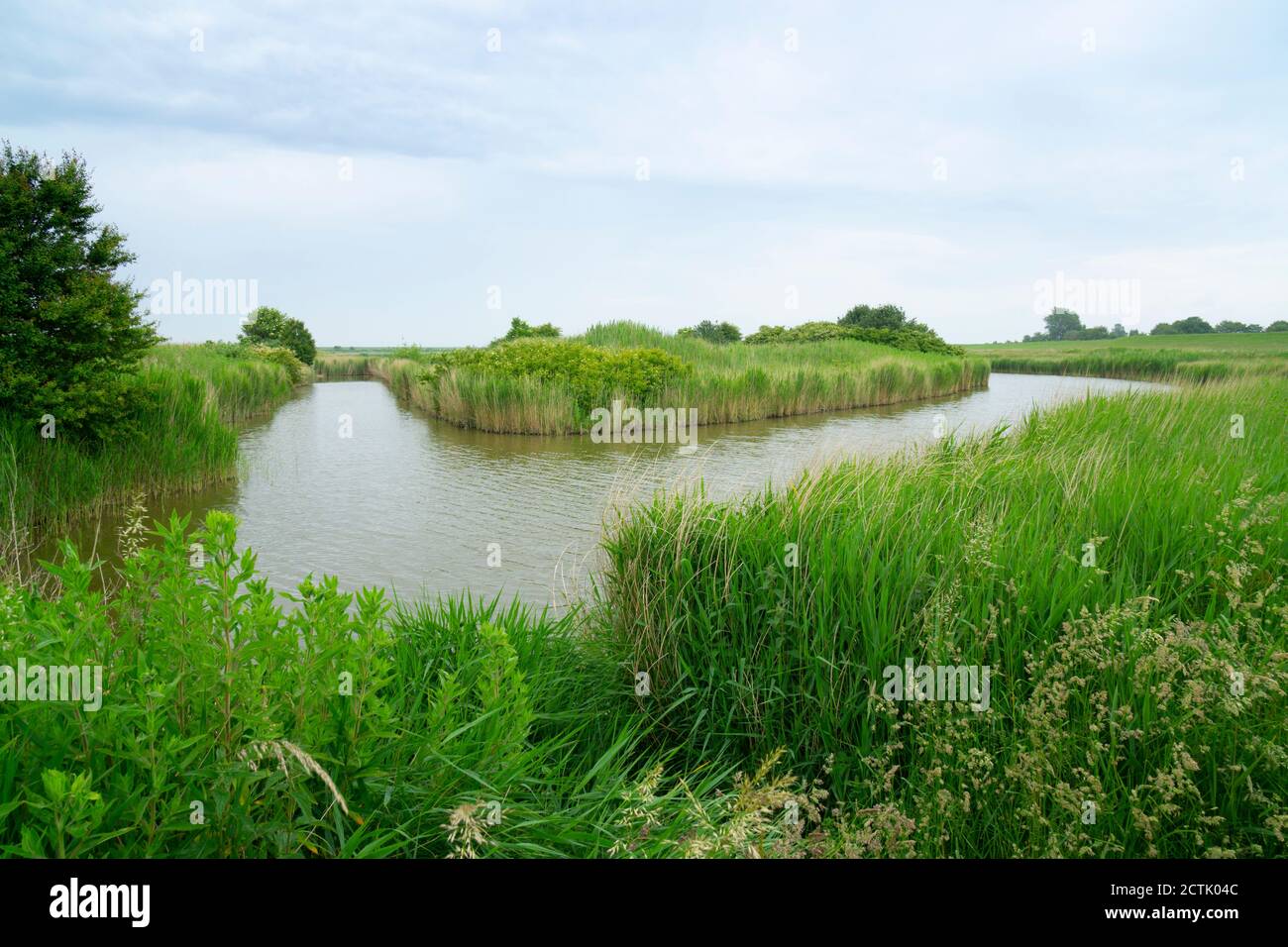Grassy river bank hi-res stock photography and images - Alamy