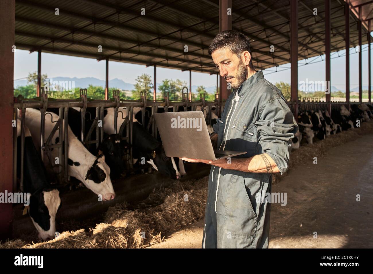 Farmer using laptop near livestock at farm Stock Photo - Alamy