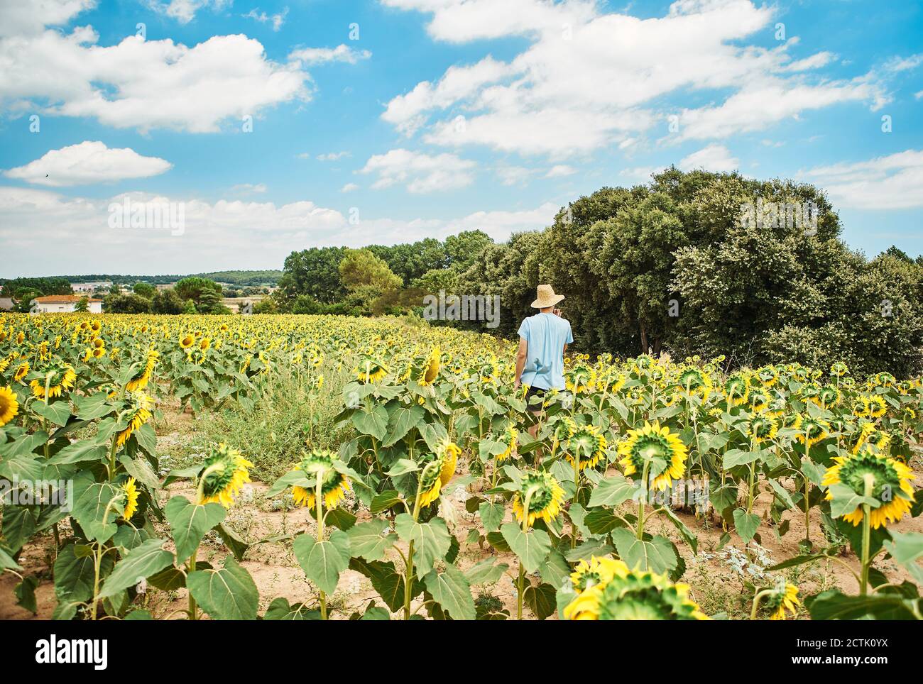 Man in flower field hi-res stock photography and images - Alamy