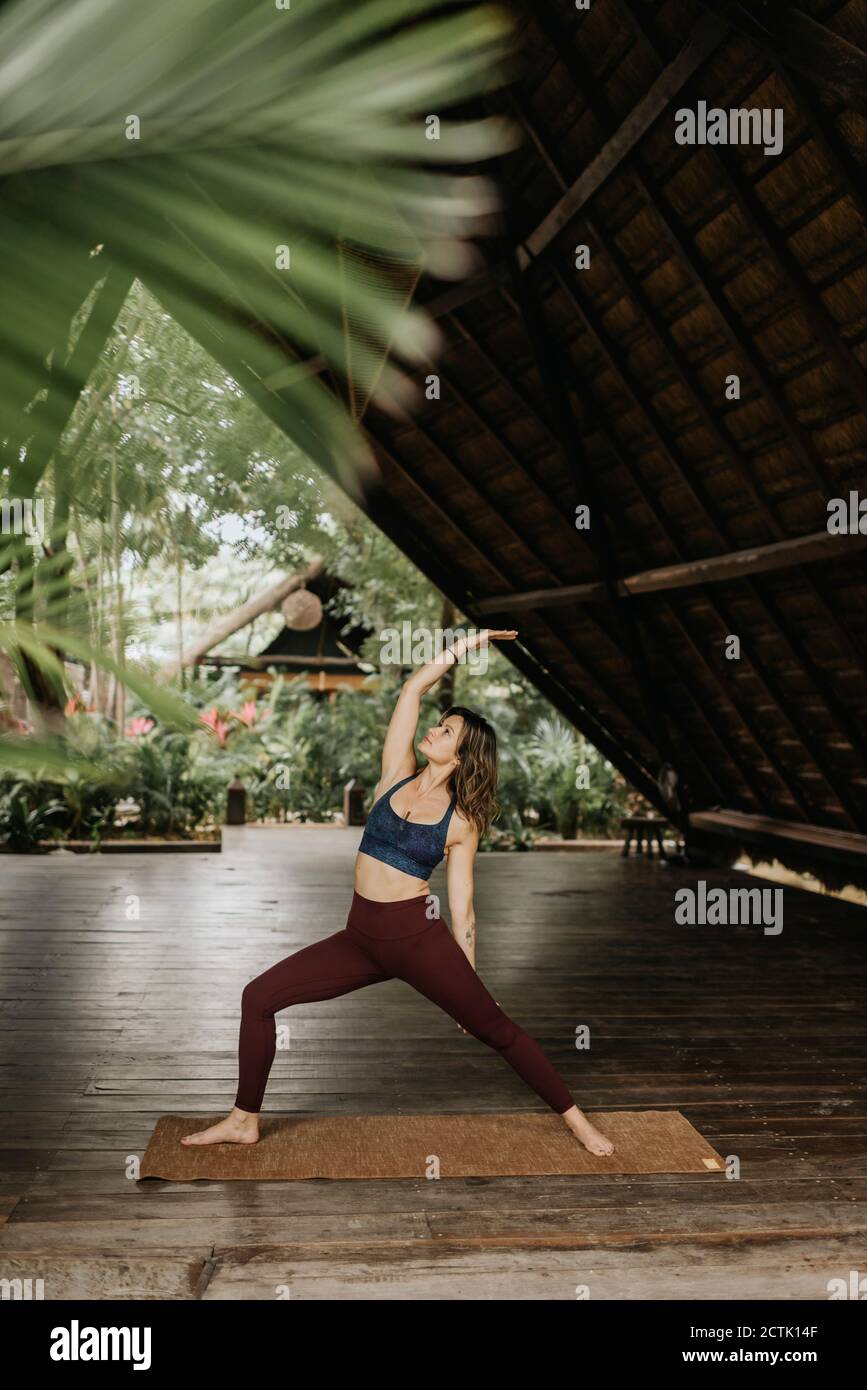 Warrior Ii Pose High Resolution Stock Photography and Images - Alamy