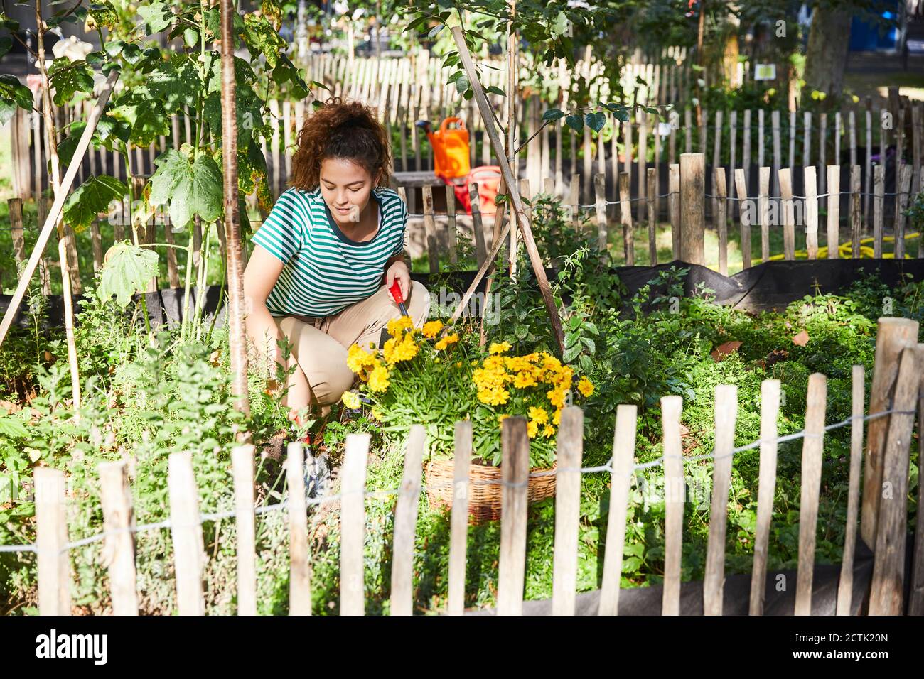 Woman planting flowers hi-res stock photography and images - Alamy