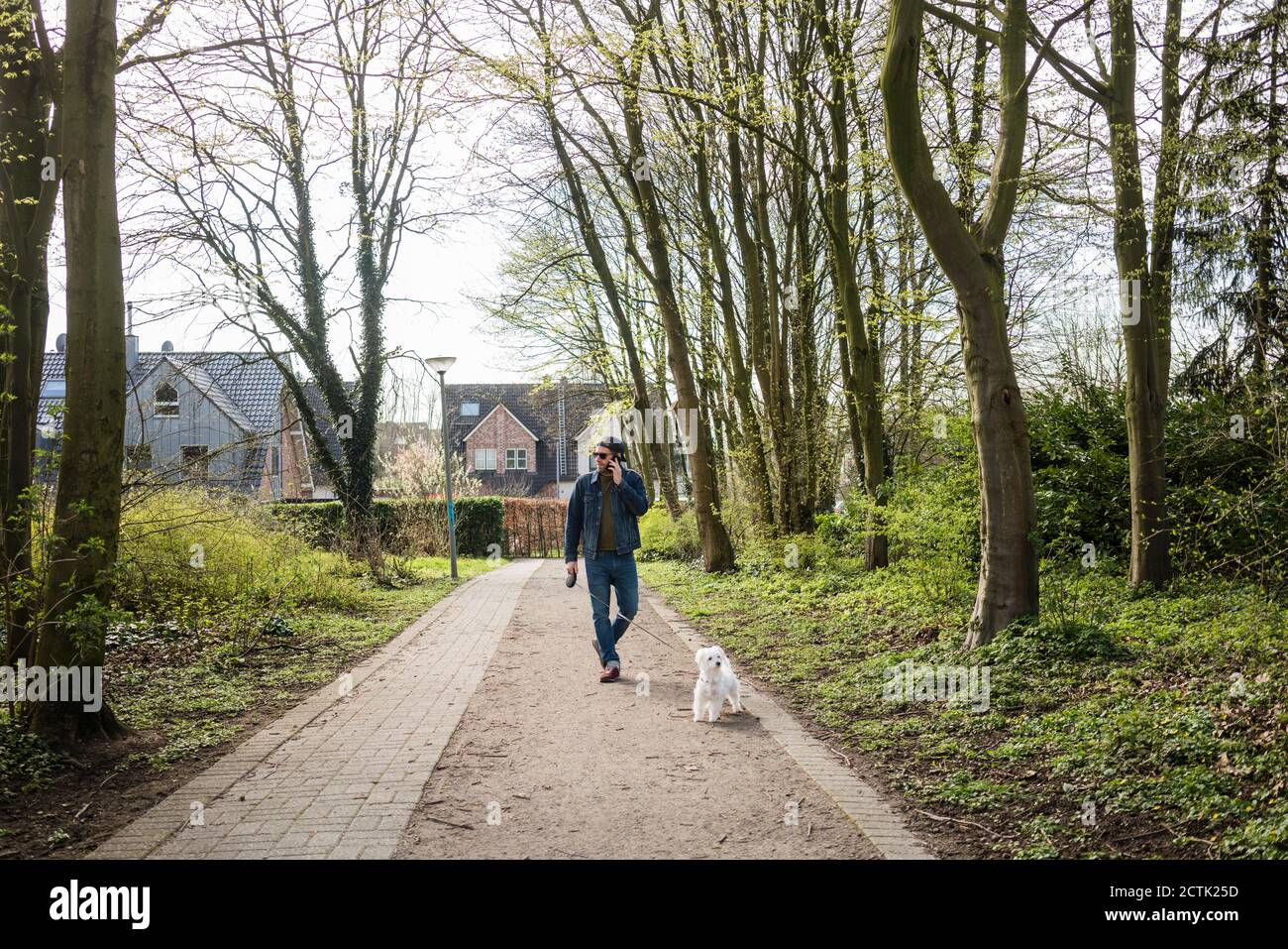 Man on phone with dog hi-res stock photography and images - Alamy