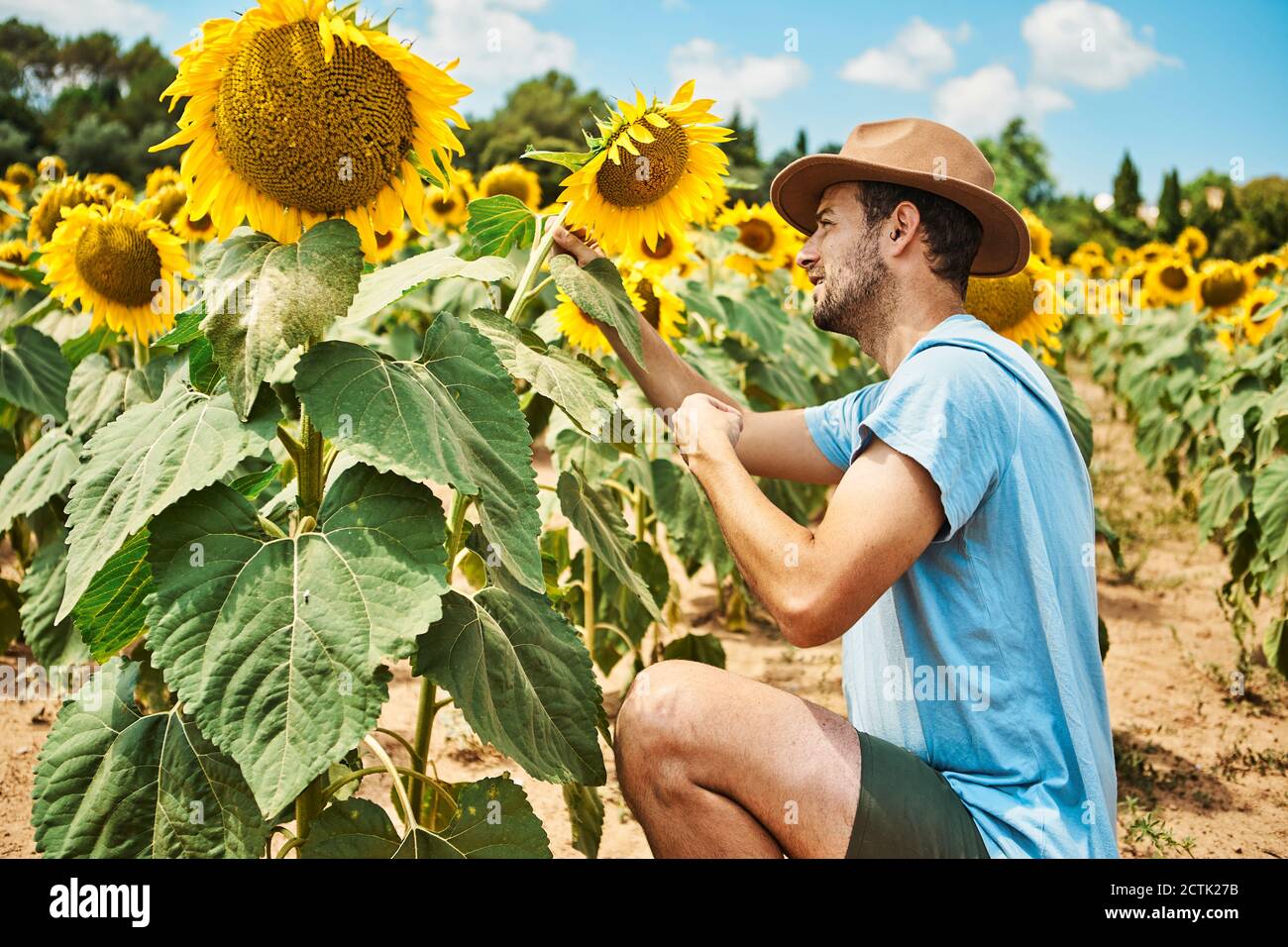 Man in yellow field hi-res stock photography and images - Alamy