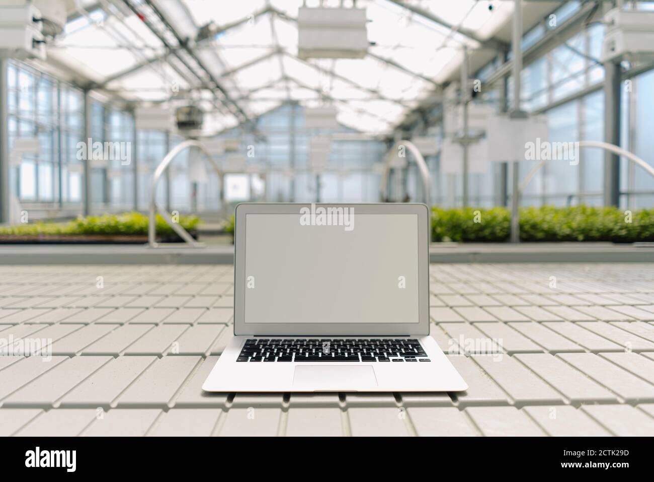 Greenhouse business laptop hi-res stock photography and images - Alamy