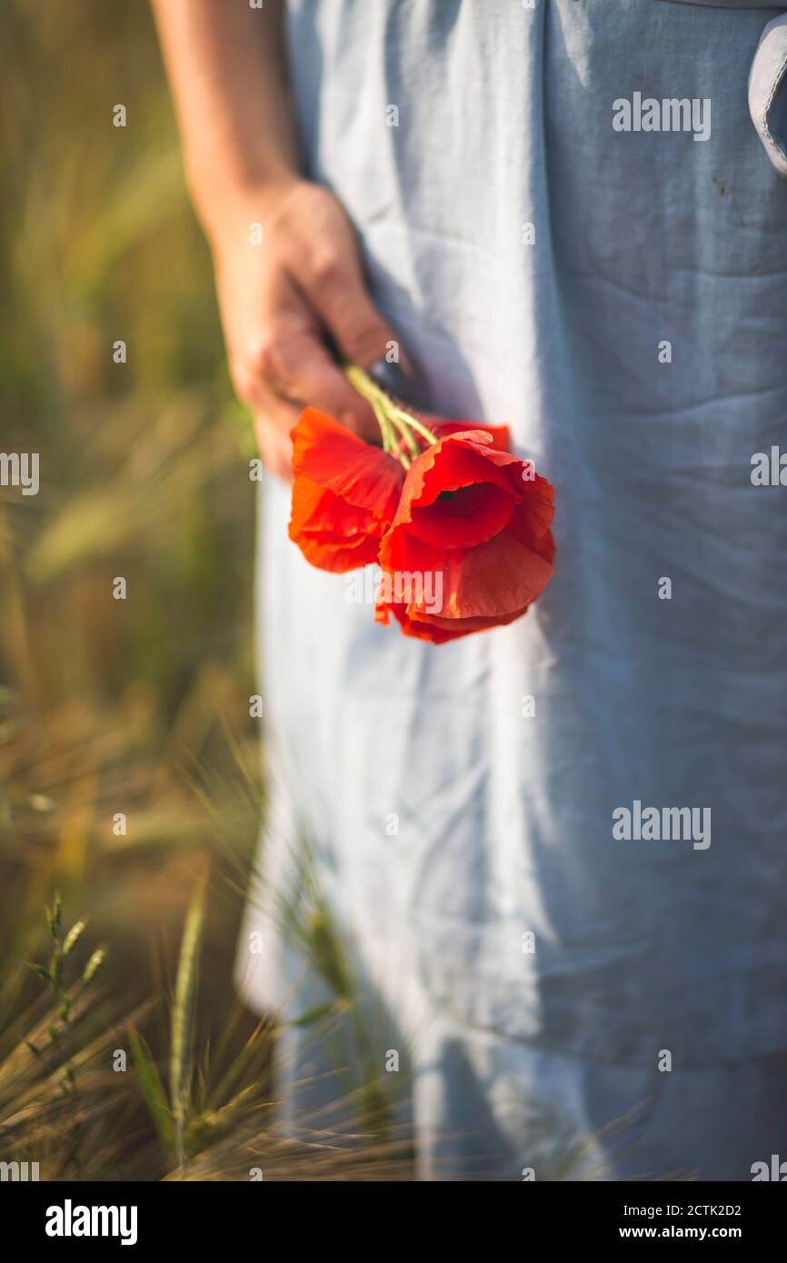 Hand holding poppy hi-res stock photography and images - Alamy
